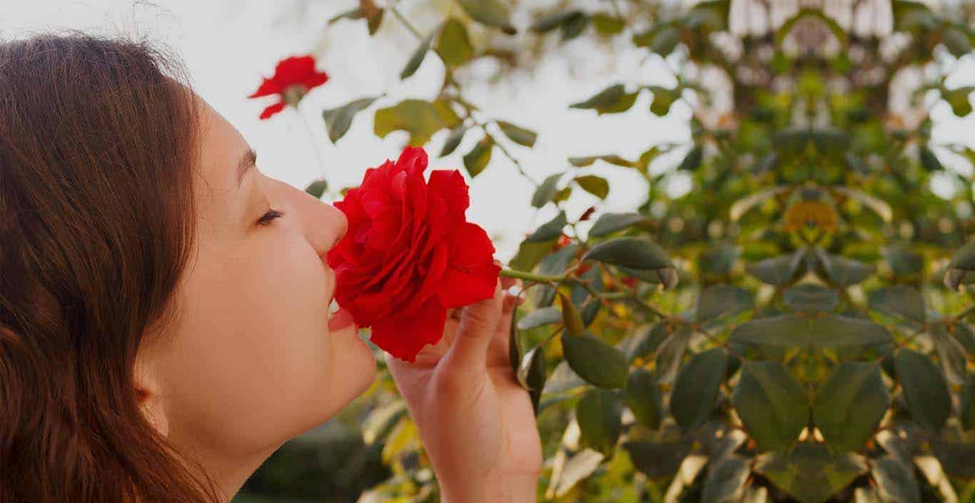 4 curiosidades sobre los olores - CVCLAVOZ