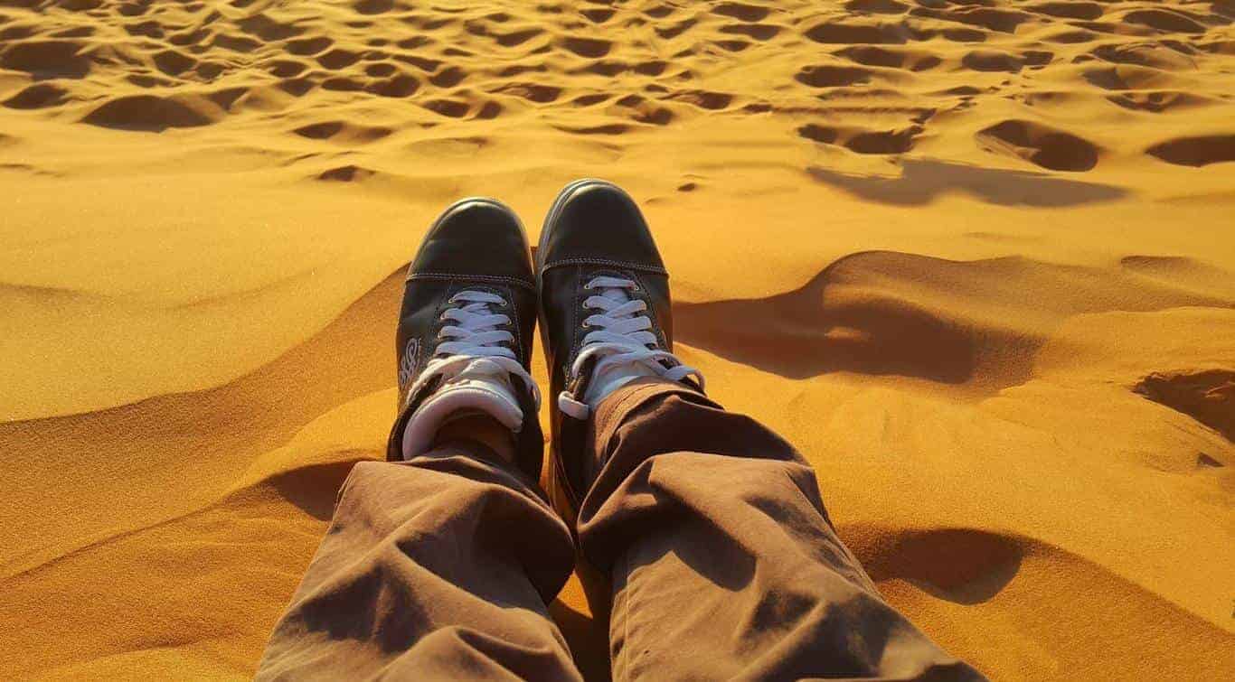 La sombra que necesito para descansar - CVCLAVOZ